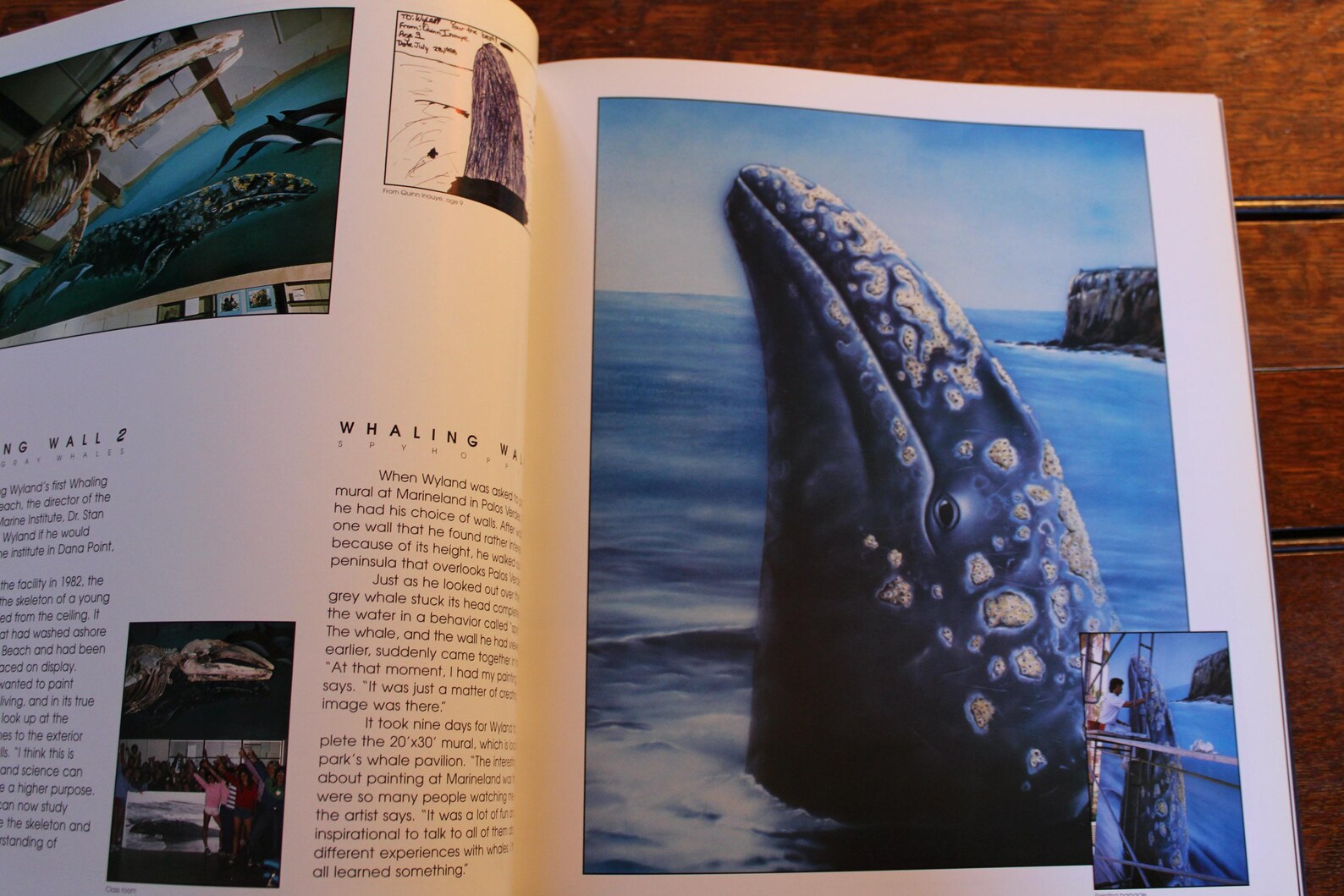 Celebrating 50 Wyland Whaling Walls - Whale Murals Hardcover Art Book ...