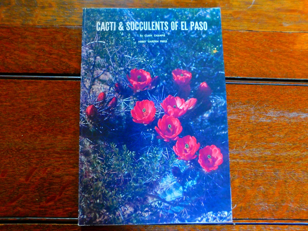 Cacti & Succulents of El Paso by Clark Champie - Vintage 1960's 1970's ...