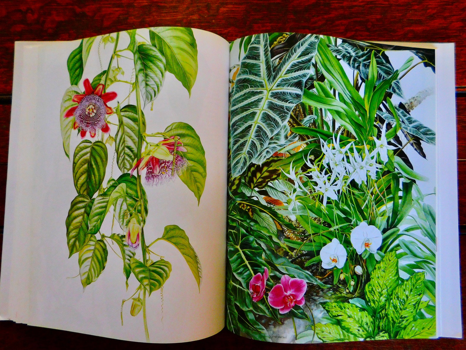 Exploring Flowers in Watercolor Techniques and Images by Siriol ...