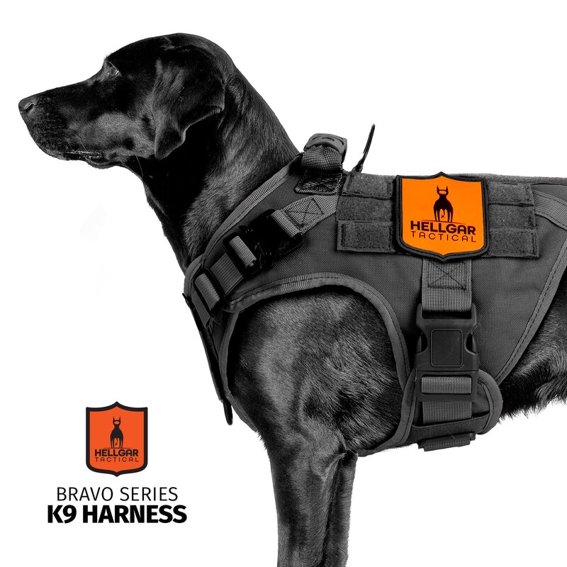 Working Dog Gear - Etsy