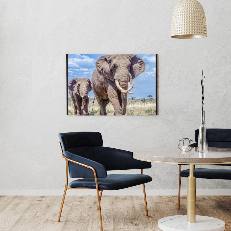 African Elephant Print Animal Print Wildlife Photography Wall Art Home ...