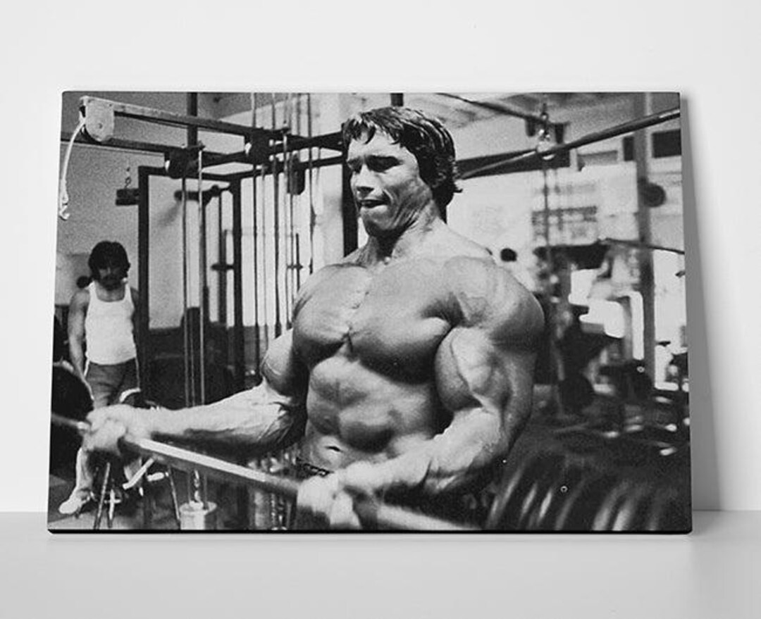 Arnold Schwarzenegger Poster or Wrapped Canvas - Etsy