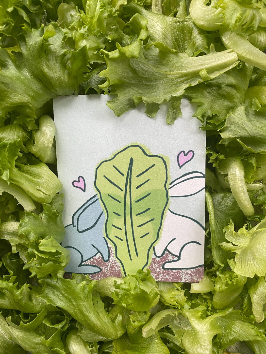 Lettuce Be Together Forever Valentine's Day Greeting Card - Etsy