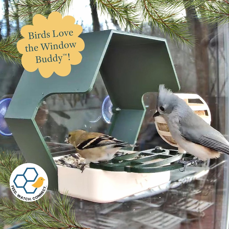 Bird Bath Buddy - Etsy