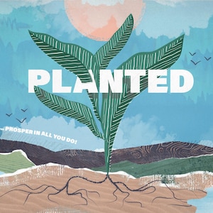 PLANTED - Sermon Series Canva Graphic Template | Church Title Slide ...
