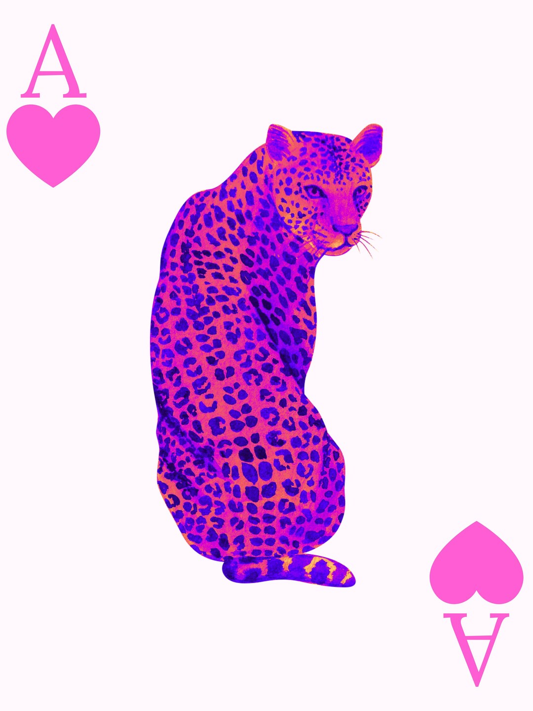Bold Trendy Ace of Spades Prints | Cheetah, Disco Ball, Martini ...