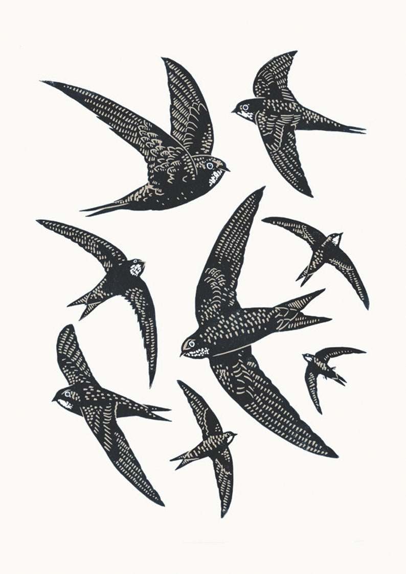 Swifts A3 Linocut Poster-print - Etsy UK