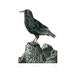 Chough Three-colour Linocut Print - Etsy