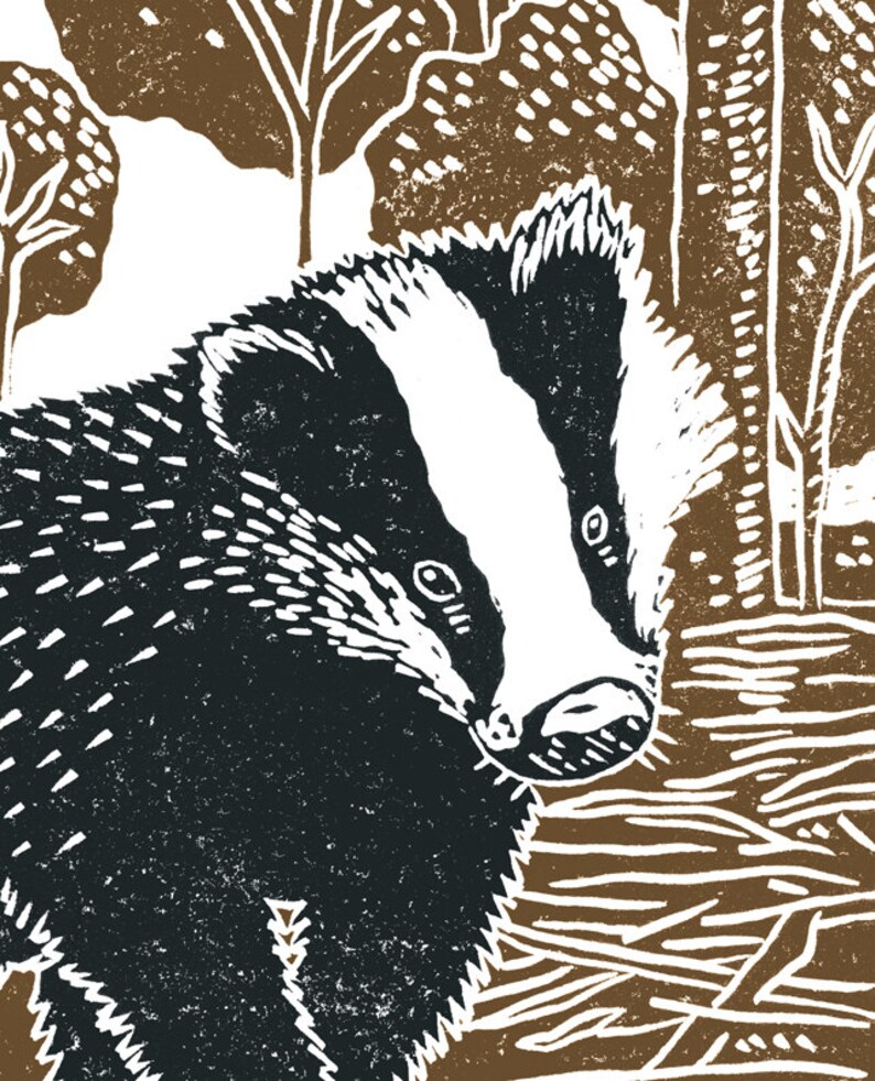 Young Badger A3 Poster-print in Brown and Dark Grey - Etsy UK