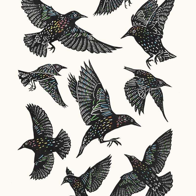 jamesgreenprintworks - Etsy