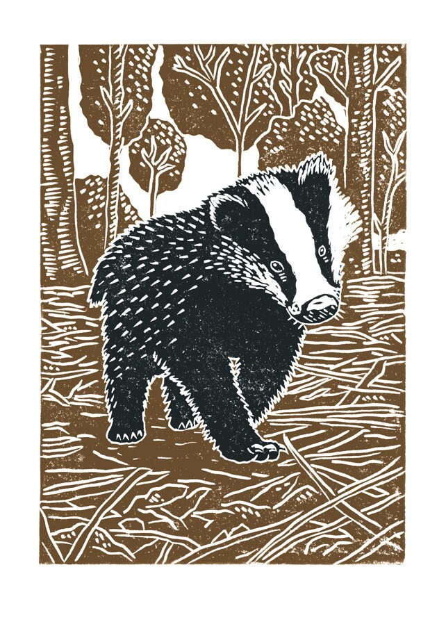 Young Badger A3 Poster-print in Brown and Dark Grey - Etsy UK