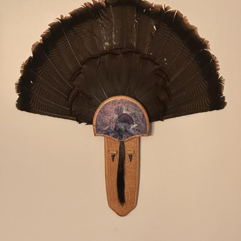 Turkey Fan Mount - Etsy