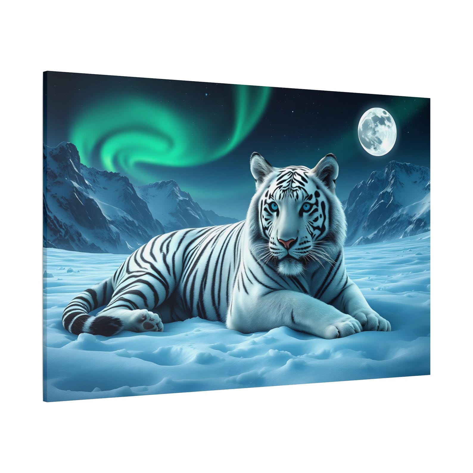 Beautiful White Tiger Laying in the Snow in Moonlight With Glowing ...