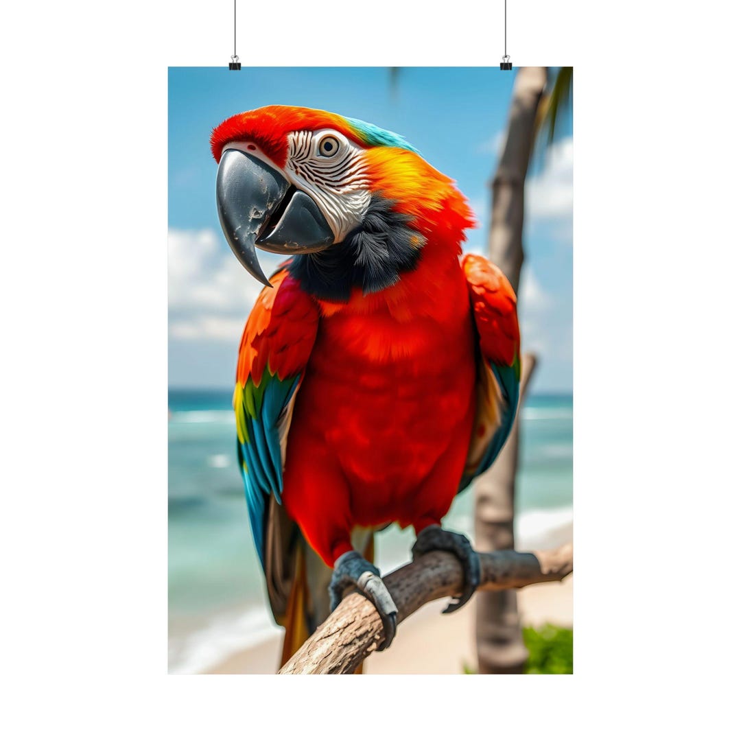 Colorful Macaw Bird by the Ocean Beach Wildlife Matte Vertical Wall ...