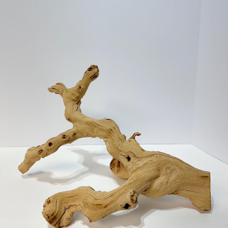 Grapewood Branch - Etsy