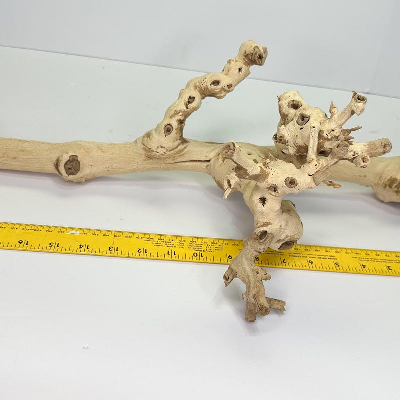 Grapewood Branch - Etsy