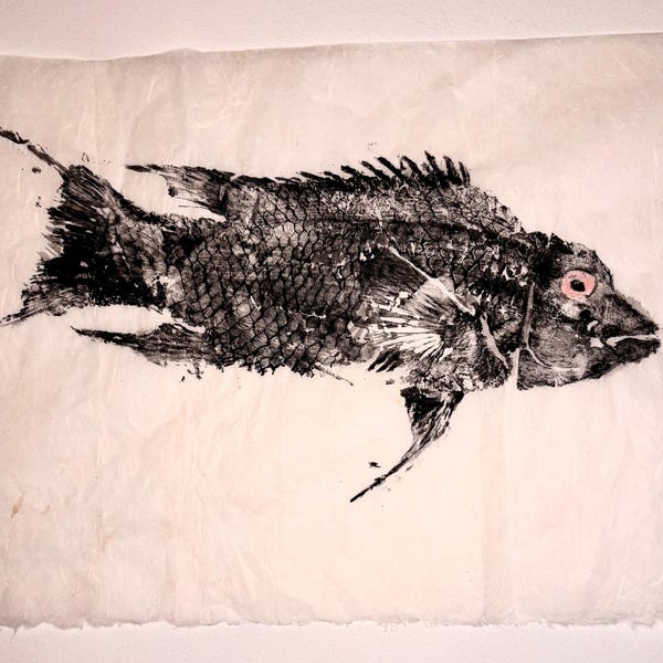 Original Gyotaku - Etsy