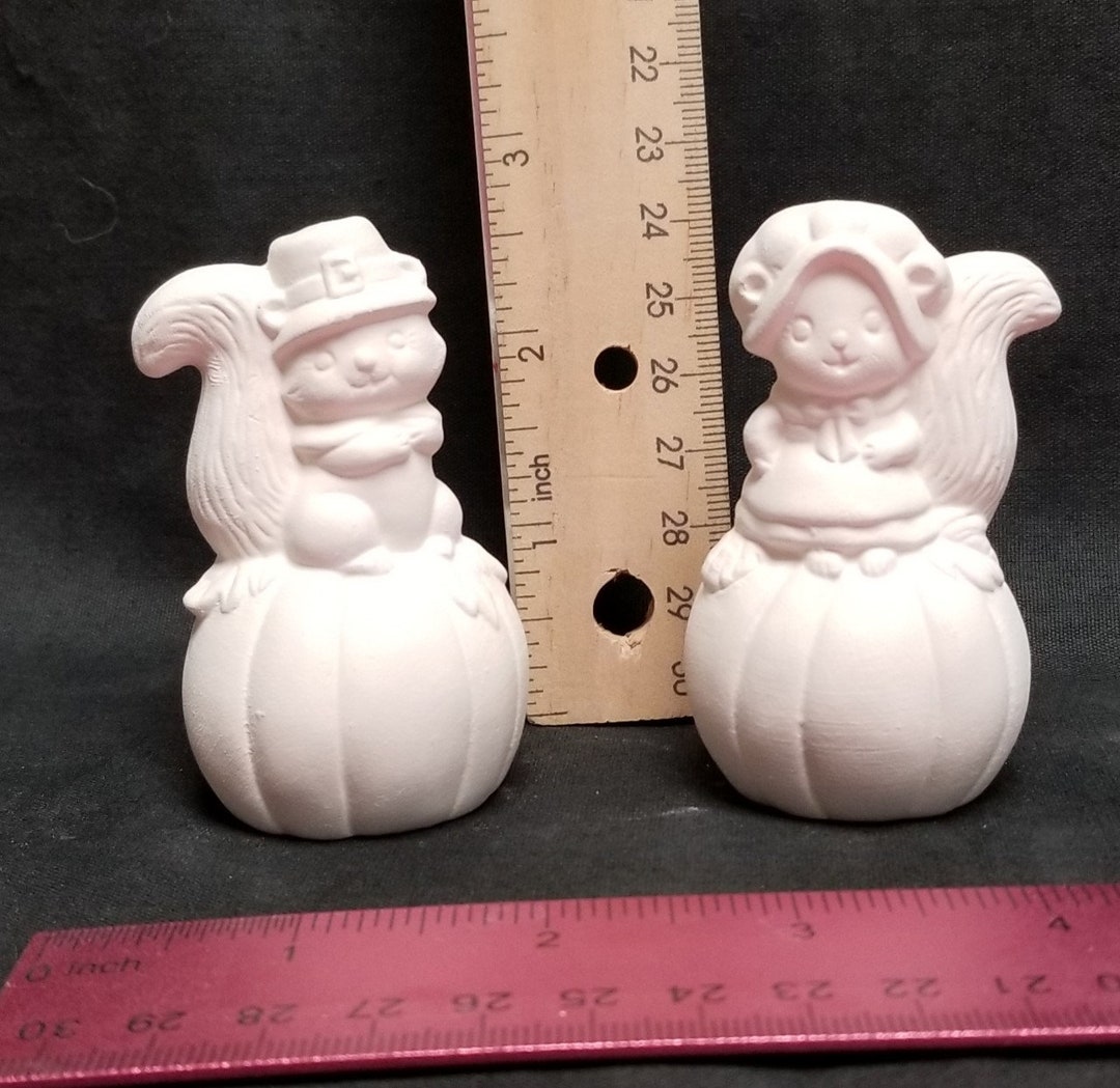 Ready to Paint River View Ceramic Bisque Set of Pilgrim Squirrel S&P - Etsy