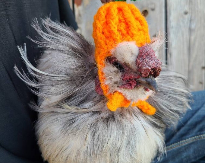 Crochet Pattern, Bonnet for Chickens, Sunday Bonnet, Little Red Hen Hat ...