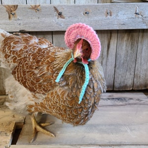 Crochet Pattern, Bonnet for Chickens, Sunday Bonnet, Little Red Hen Hat ...