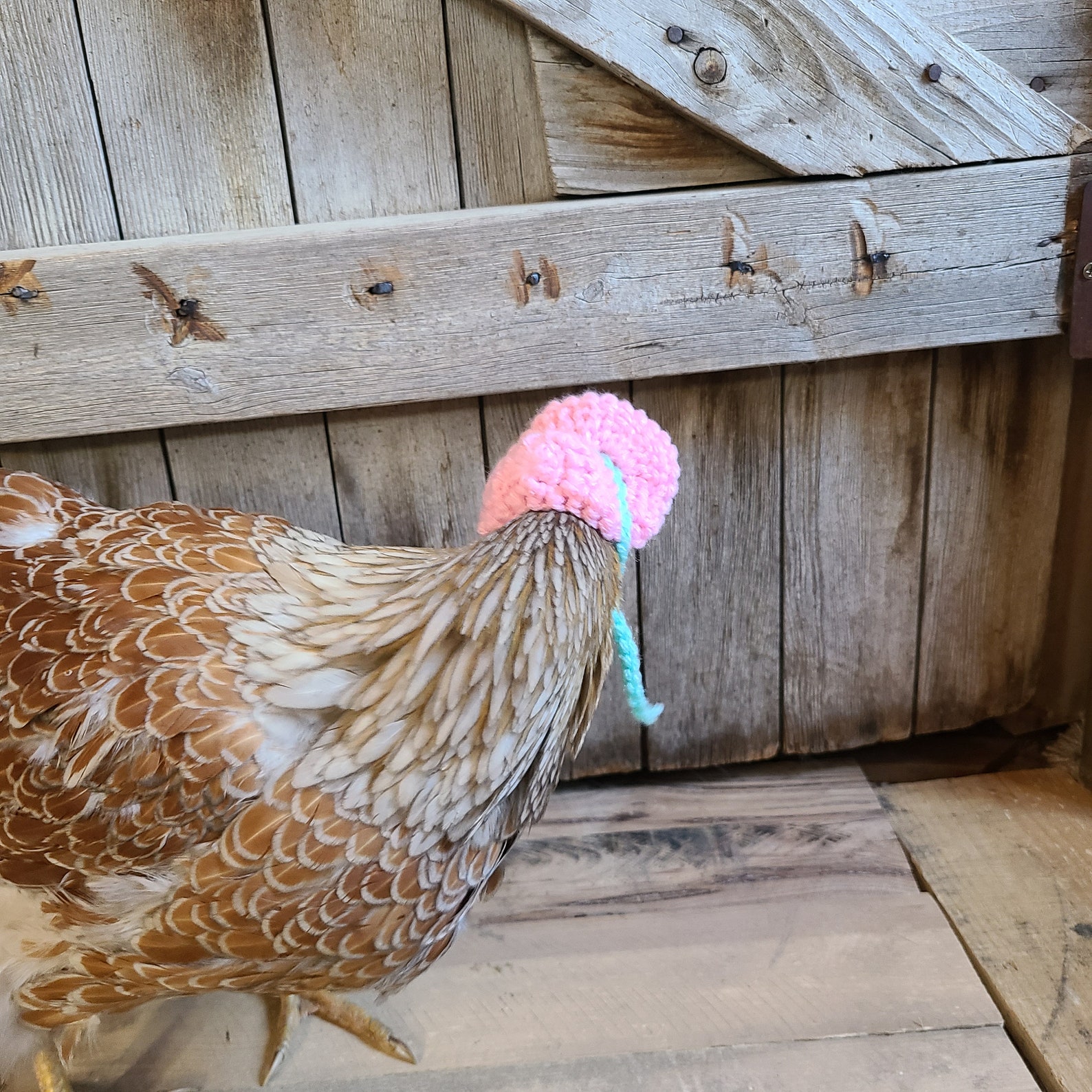 Crochet Pattern Bonnet for Chickens Sunday Bonnet Little - Etsy