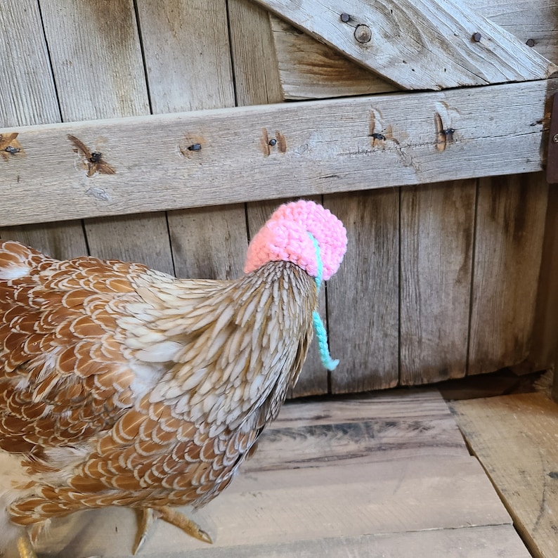Crochet Pattern Bonnet for Chickens Sunday Bonnet Little - Etsy