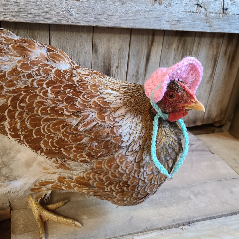 Crochet Pattern Bonnet for Chickens Sunday Bonnet Little - Etsy