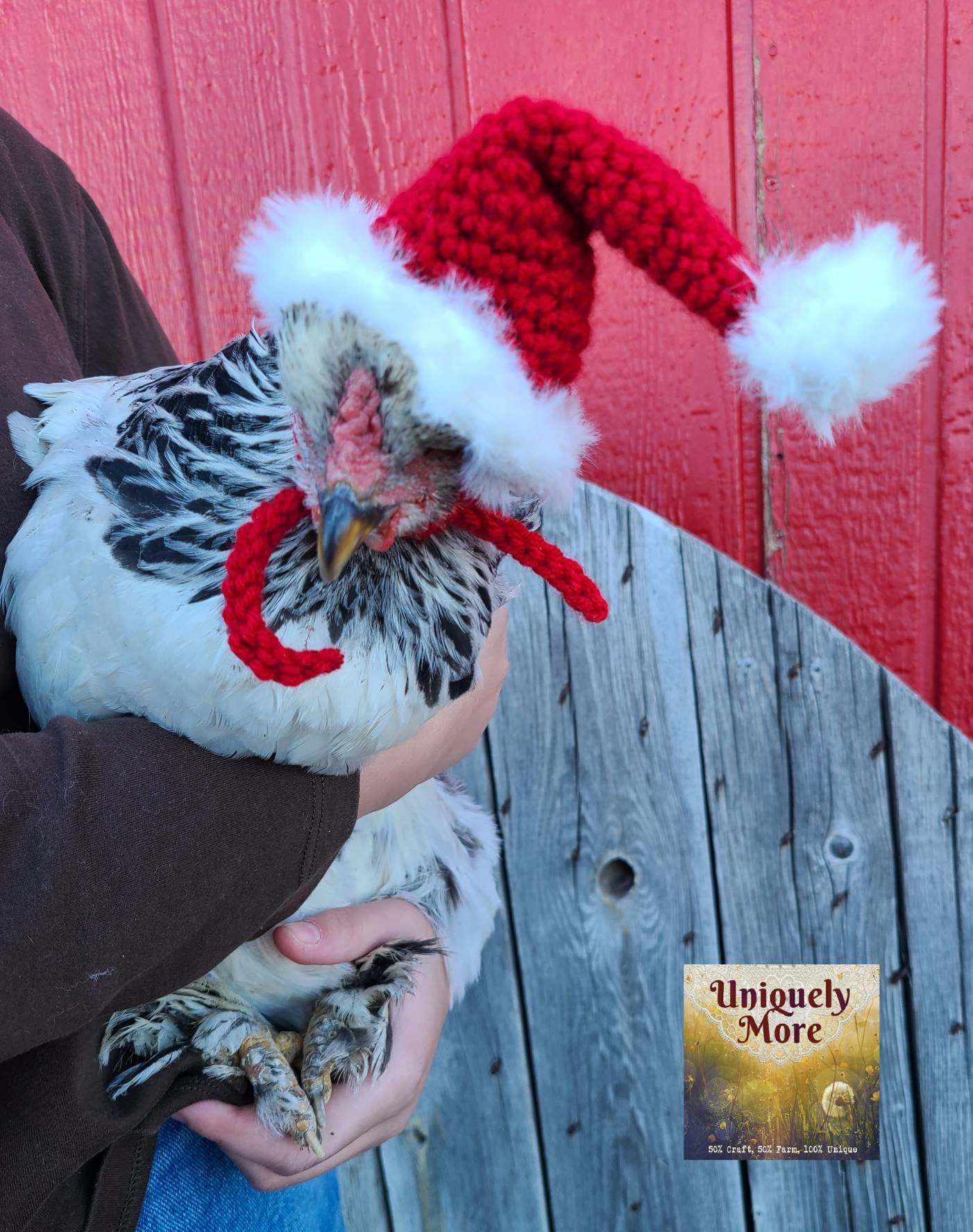 Chicken With Santa Hat