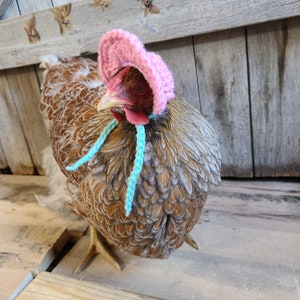 Crochet Pattern, Bonnet for Chickens, Sunday Bonnet, Little Red Hen Hat ...