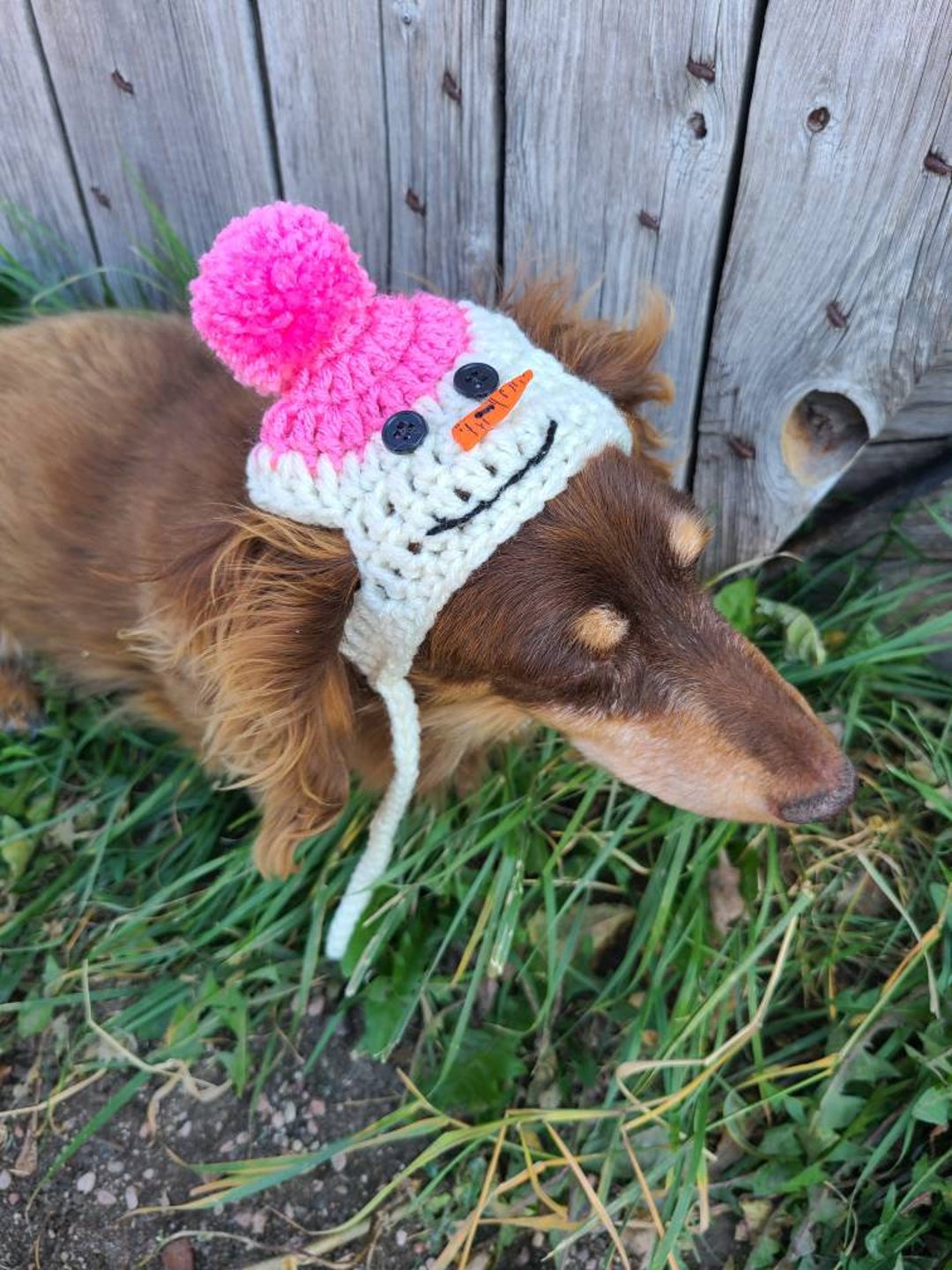 Snowman Dog Hat/ Snowman Hat/ Cat Hat/ Pet Hat/ Crochet Hat/ Goat Hat ...