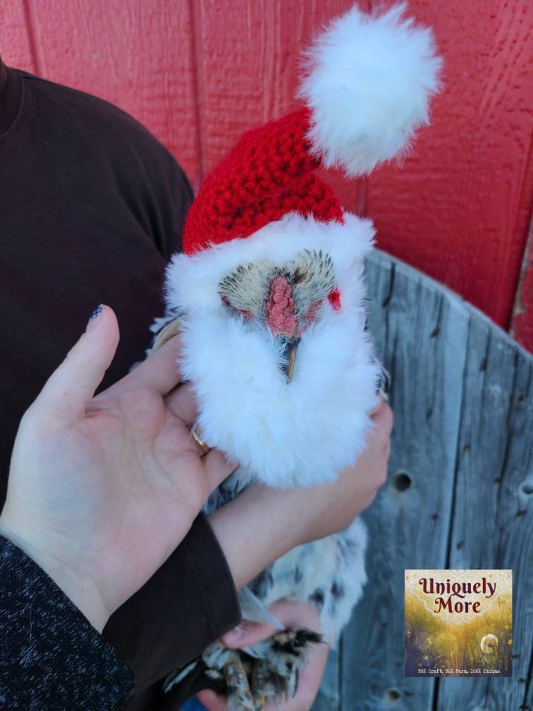 Chicken Hat,santa Hat,christmas Hat,turkey Hat,goose Hat,banty Hat,duck ...