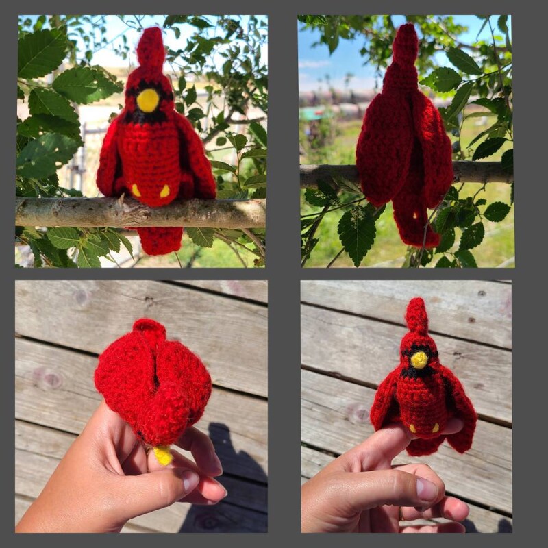 Cardinal Bird - Etsy