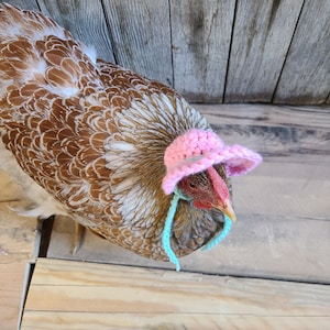 Crochet Pattern, Bonnet for Chickens, Sunday Bonnet, Little Red Hen Hat ...
