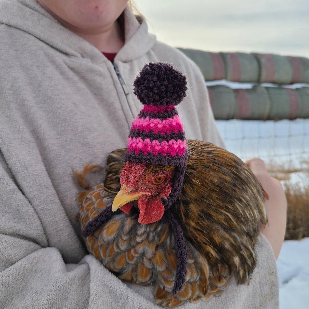 Crochet Hats For Chickens Free Pattern at Donald Mccann blog