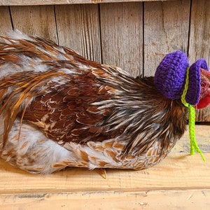 Crochet Pattern / Chicken Bonnet / Spring Chicken / Chicken Hat ...