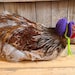 Crochet Pattern / Chicken Bonnet / Spring Chicken / Chicken Hat ...