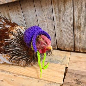 Crochet Pattern / Chicken Bonnet / Spring Chicken / Chicken Hat ...
