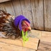 Crochet Pattern / Chicken Bonnet / Spring Chicken / Chicken Hat ...