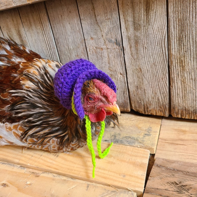 Crochet Pattern / Chicken Bonnet / Spring Chicken / Chicken | Etsy