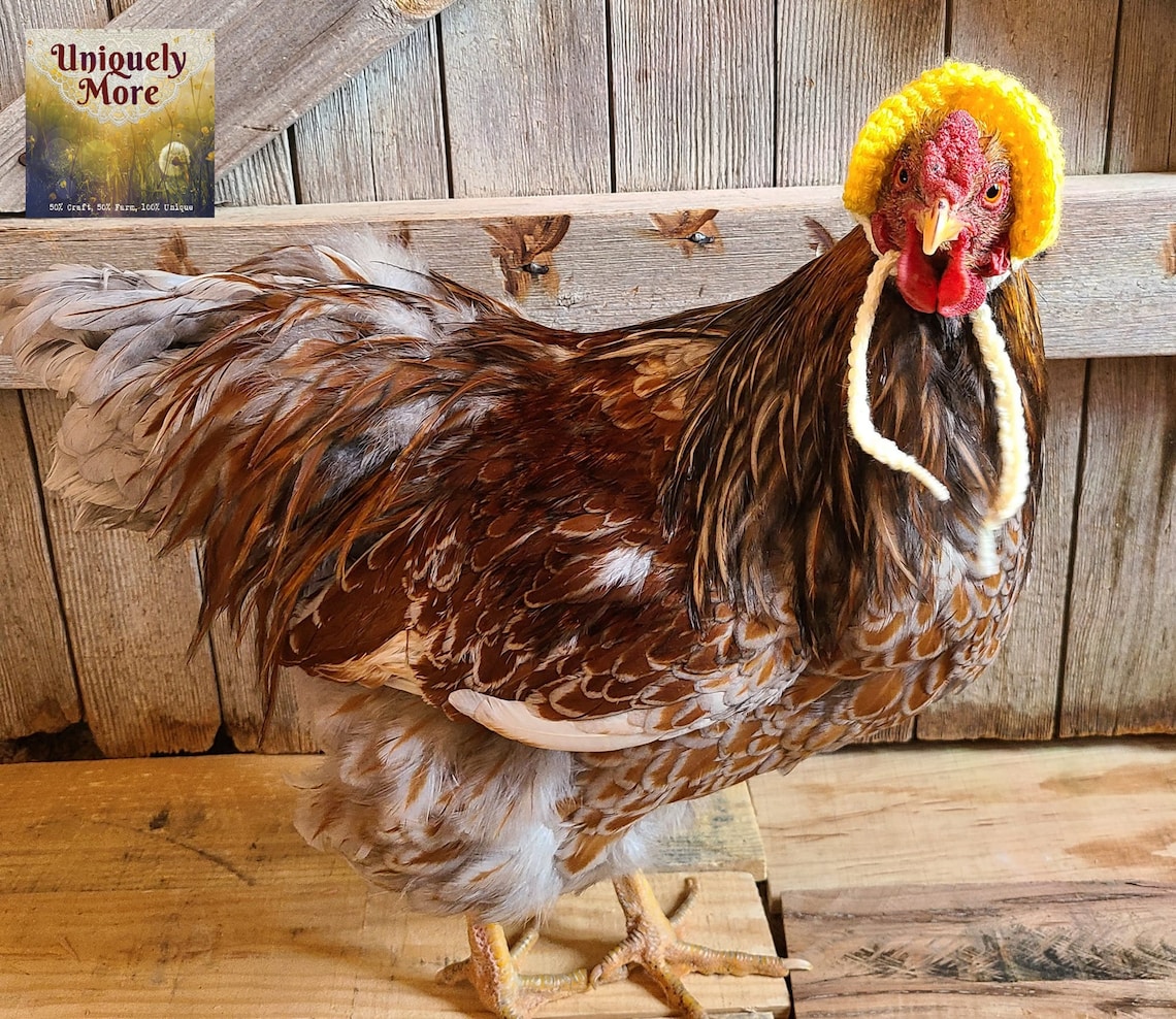 Crochet Pattern / Chicken Bonnet / Spring Chicken / Chicken | Etsy