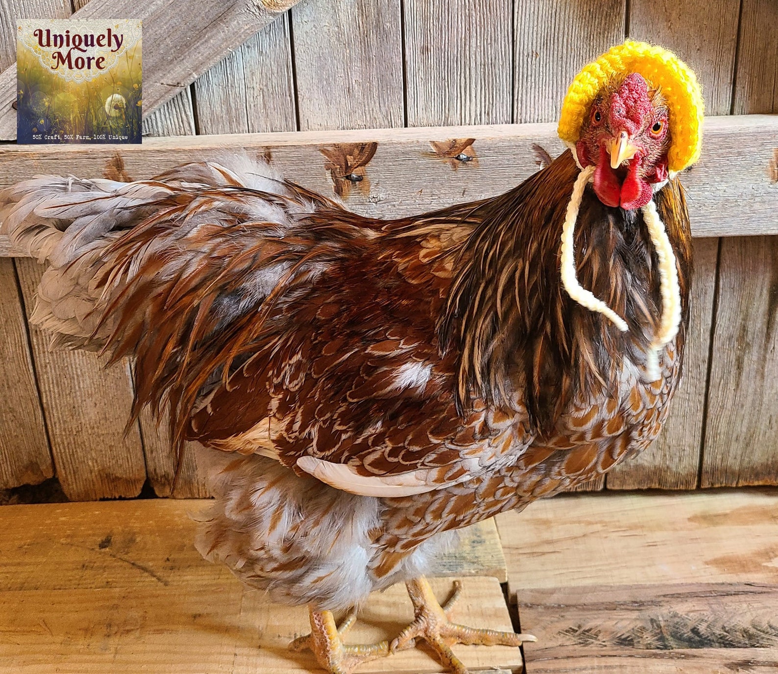 Crochet Pattern / Chicken Bonnet / Spring Chicken / Chicken | Etsy