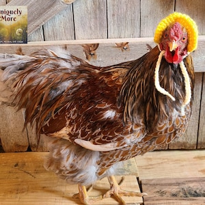 Crochet Pattern / Chicken Bonnet / Spring Chicken / Chicken Hat ...