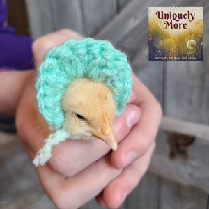 Crochet Pattern, Bonnet for Chickens, Sunday Bonnet, Little Red Hen Hat ...