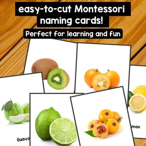 FRUITS - 50 Editable Montessori Cards- Flash Cards Nomenclature ...