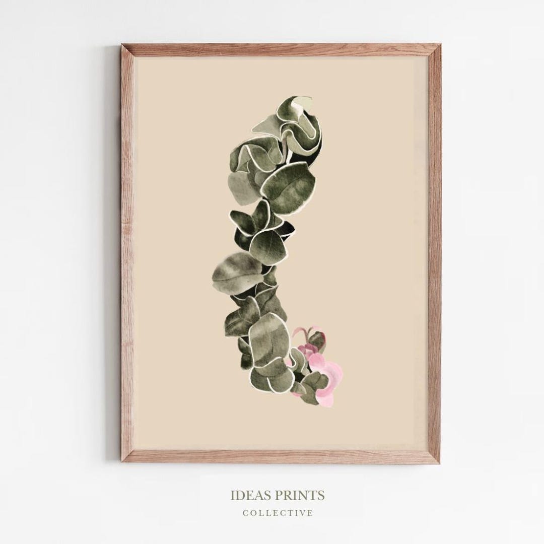Vintage Flower Hoya Carnosa Compacta Drawing - Neutral Decor Art Print ...