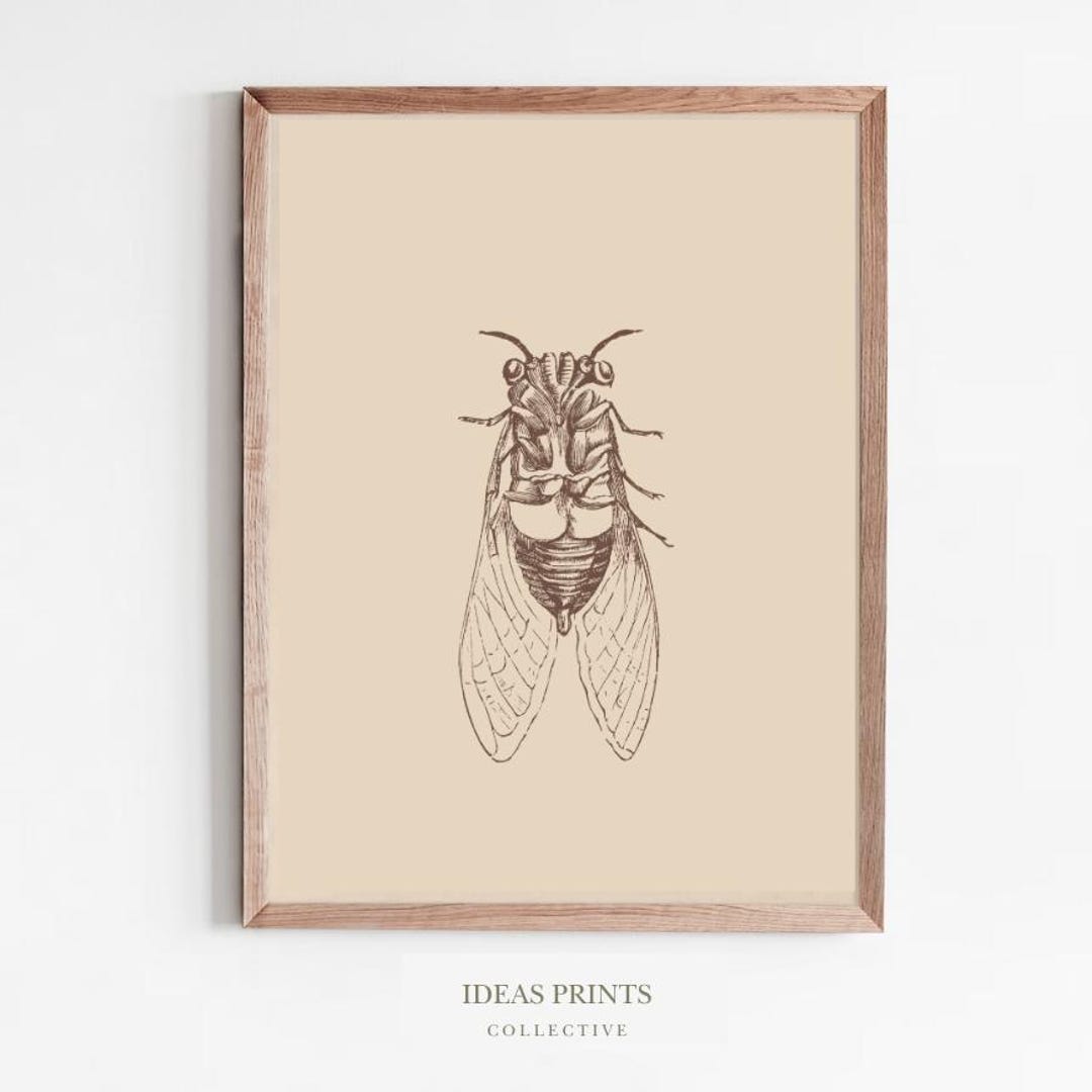 Insect Drawing - Neutral Decor Art Print - - Floral Wall Art - Digital ...