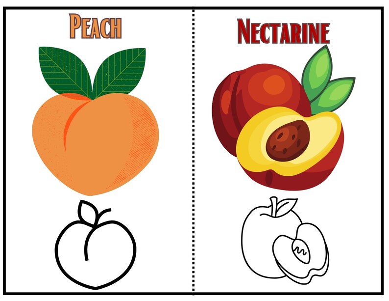 Partner Pairing Food Cards | Printable Matching Game for Kids ...