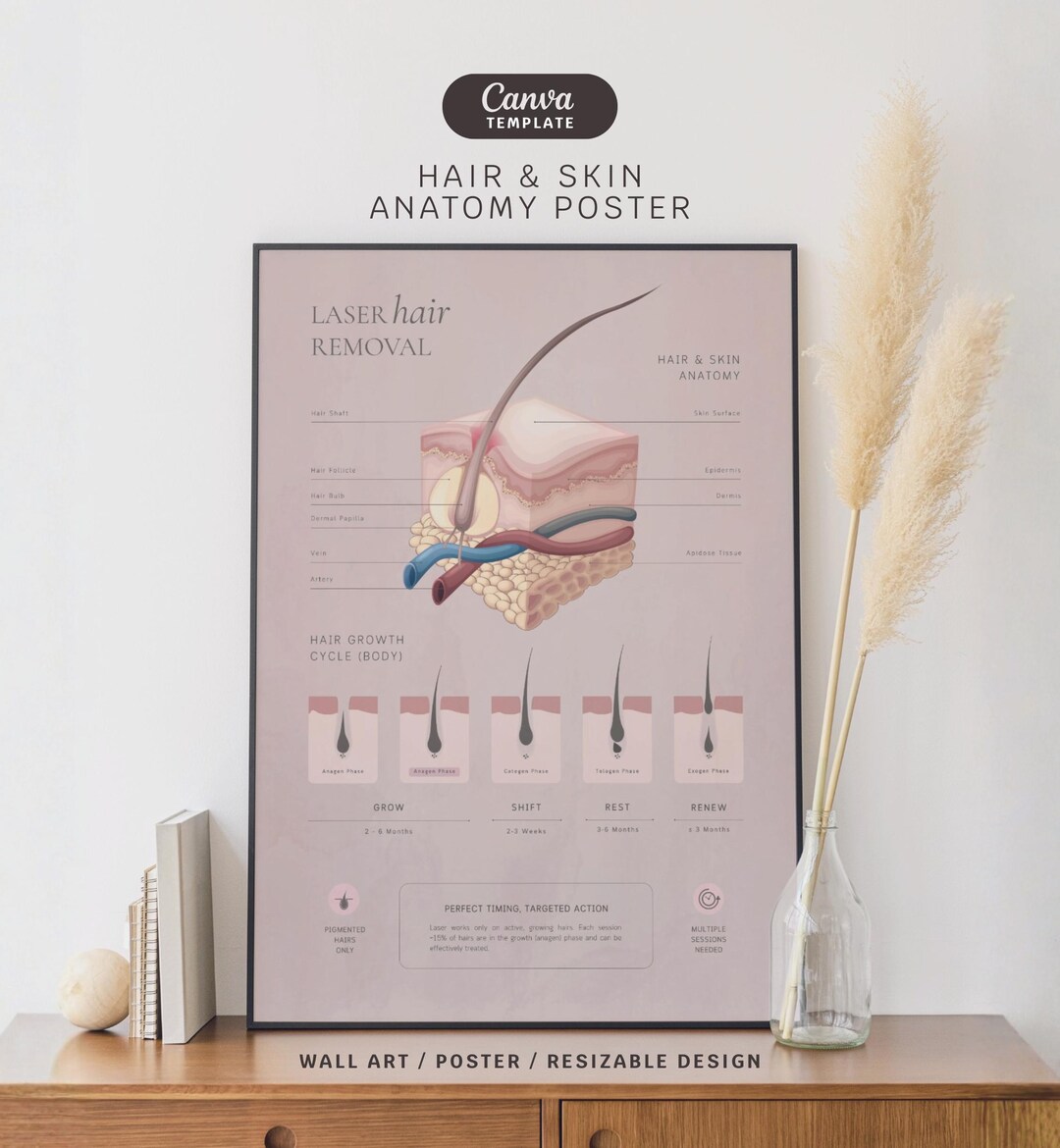 Laser Hair Removal Poster | Hair & Skin Anatomy - Etsy UK