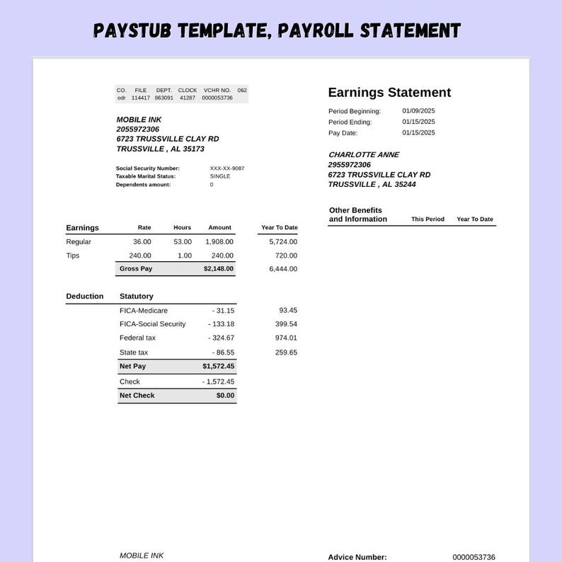 Employee Paystub Template, Digital Payroll Statement PDF, Instant ...