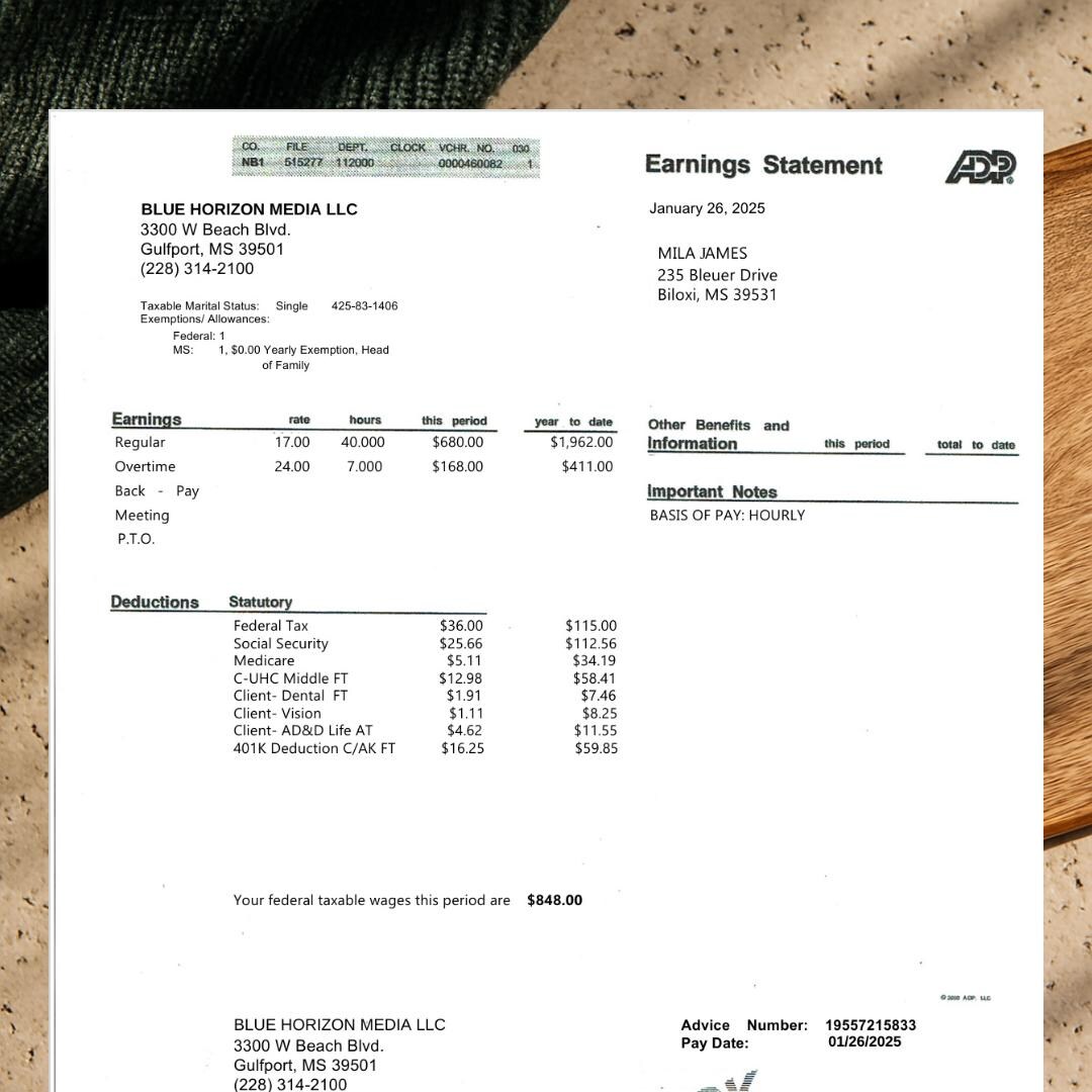 Employee Check Stub Template, Paystub, Payroll Statement, ADP Paystub ...